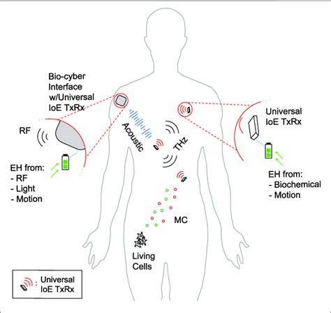 Remote Healthcare Application With Continuous Health Monitoring