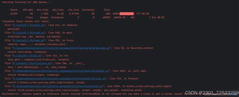 runtimeerror inplace update to inference tensor outside inferencemode