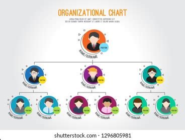 Organizational Chart Corporation Business Hierarchy Vector Stock Vector