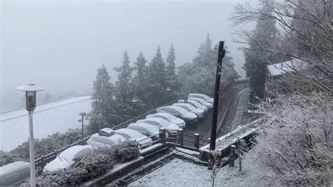 今晨這裡67度平地最低！太平山降瑞雪 追雪民眾湧上山搶看銀白美景｜四季線上4gtv