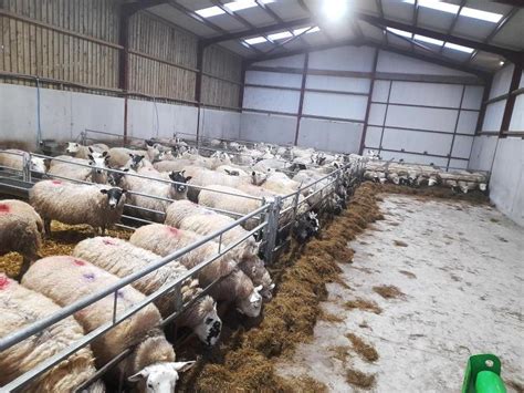 Analysis Of Bales Doesnt Stack Up Free