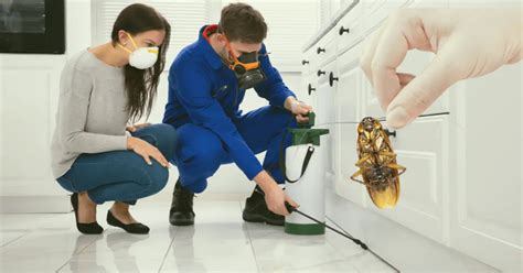 How To Control Cockroaches In Kitchen