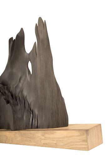 白い背景の上の古いオークの木の根から作られた製品です孤立した画像 アイデアのストックフォトや画像を多数ご用意 アイデア カットアウト