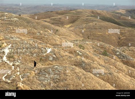 Dry Grassland On Hilly Landscape During Dry Season On Wairinding Hill