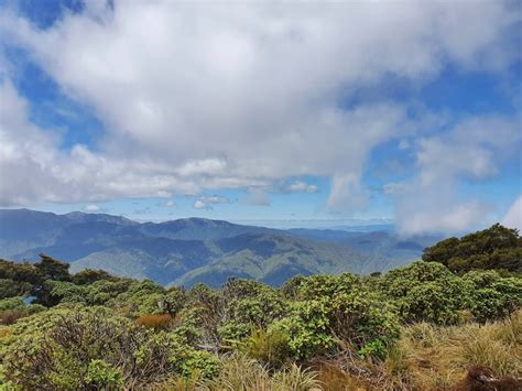 5 Beautiful Walks In Waikanae Chur New Zealand
