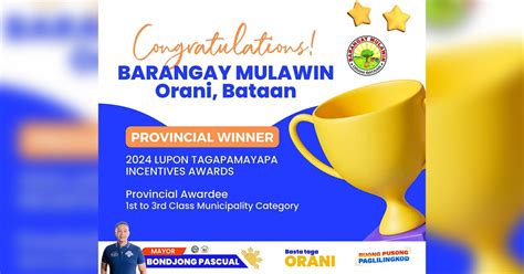 Barangay Mulawin Wins In 2024 Lupong Tagapamayapa Incentives Awards