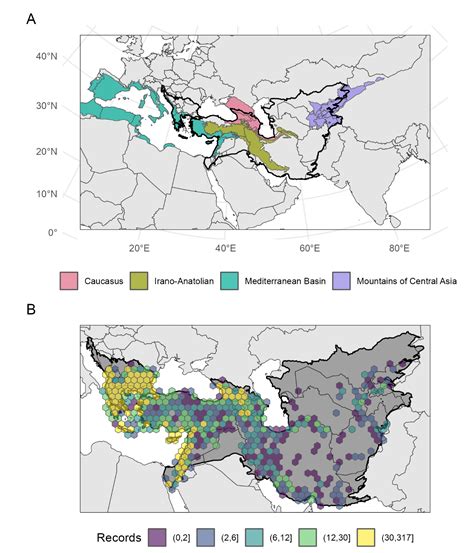 Understanding The Relationship Between Bat Species Richness And Specialization Across Four