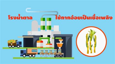 รู้จักมั้ย โรงไฟฟ้าพลังงานชีวมวล Youtube