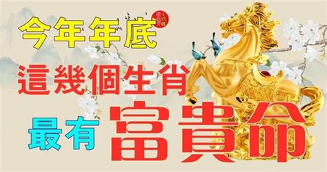 今年年底，這幾個生肖最有富貴命 Agonew