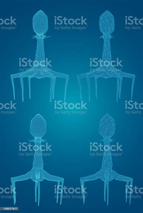 박테리오파지의 3d 모델 3차원 형태에 대한 스톡 벡터 아트 및 기타 이미지 3차원 형태 Biohacking 개발