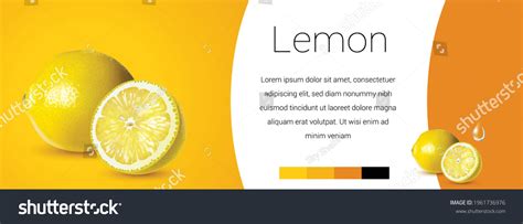 Lemon Fresh Fruits Splashes 3d Vector Stock Vector Royalty Free