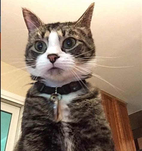 “too Many Failed Password Attempts Account Locked And Picture Taken ” R Pics