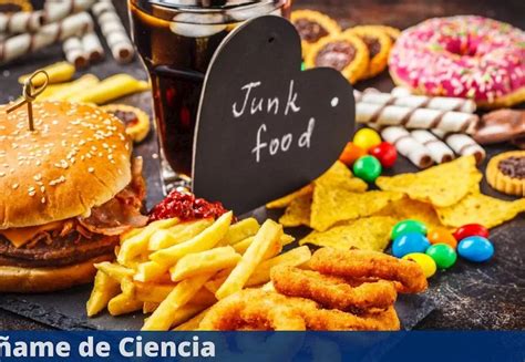 Cuáles son los carbohidratos que engordan y no son saludables para tu