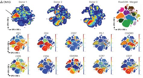 Cytek™ Aurora Next Level Spectral Flow Cytometry Cytek Biosciences