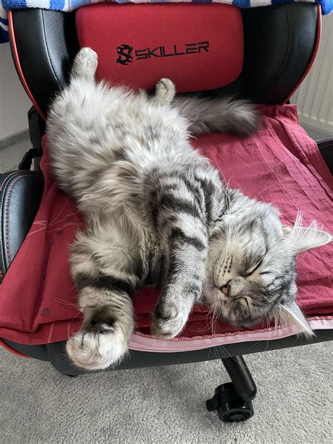 Sweet Dreams Scrolller