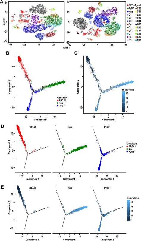 Figures And Data In Single Cell Rna Sequencing Reveals Distinct
