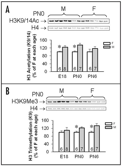 Sex Differences In Histone Modifications In The Neonatal Mouse Brain Pmc