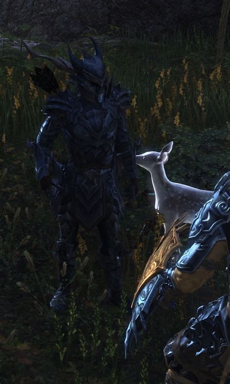 Pin By Hell Fire Blaze On Elder Scrolls Art Elder Scrolls Art Types