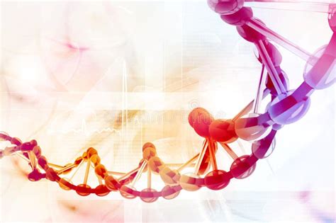 Dna Structure Stock Illustration Illustration Of Human