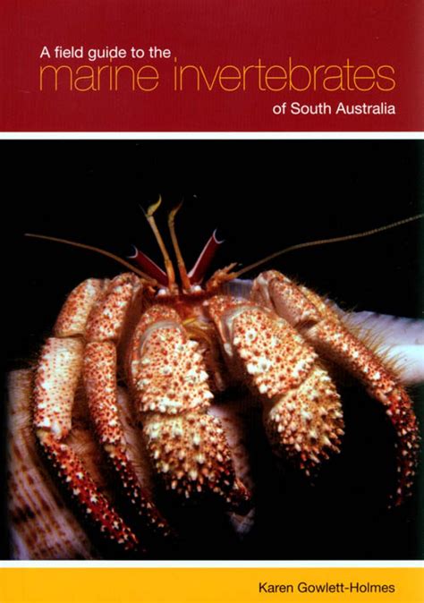 A Field Guide To The Marine Invertebrates Of South Australia Nokomis
