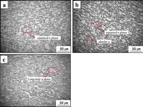 Effect Of Roller Rotating Speeds On Microstructure Of The Rolled