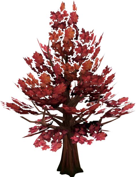 Maple Tree The Runescape Wiki