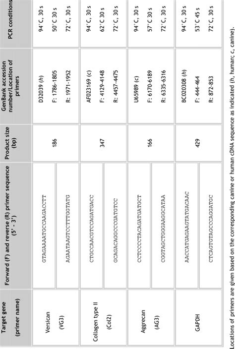 Oligonucleotide Primers Used For Rt Pcr Download Table