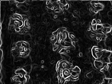 Image Segmentation Cleaning Up OpenCV Q A Forum