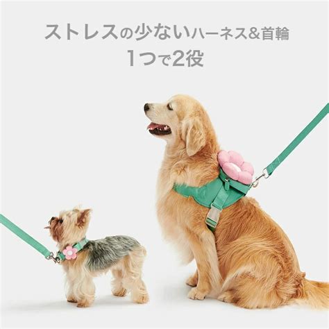 【犬用】vetreska（ベトレスカ） ペットハーネス リード 首輪 セット フラワー Flora 4サイズ Buy 1 Love