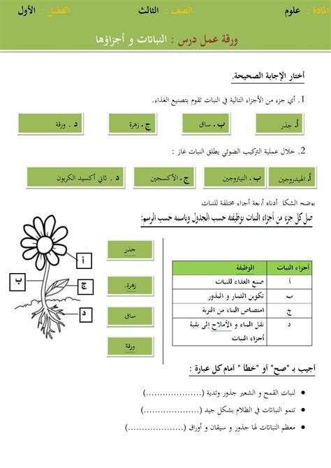 ورقة عمل تفاعلية درس النباتات وأجزاؤها 2 بداية