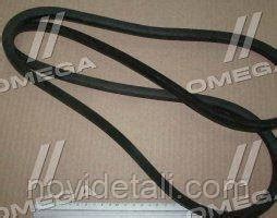 Ремень В(Б)-1900, цена 126 грн — Prom.ua (ID#1110667002)