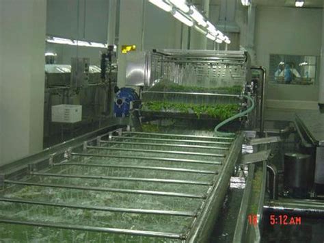 诚达1000型大姜清洗设备厂家 生产大姜气泡清洗线 大姜清洗机器 诸城市诚达食品机械有限公司
