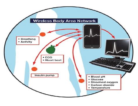 Block Diagram Of Wireless Body Sensor Networks Download Scientific