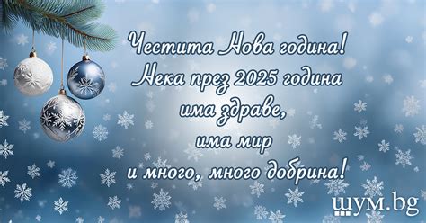 Честита Нова година ШУМ БГ
