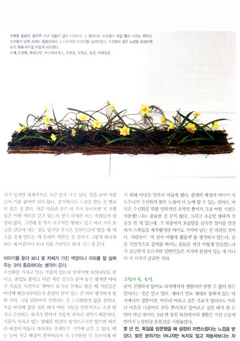 Flora 백조의 발을 보다 문현선 플로리스트 아카데미 공지사항 문현선 플로리스트 아카데미 동양최초 플로리스트마이스터 문현선