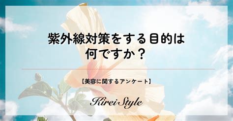 【機能性表示食品】体脂肪を減らす低糖質パン『低糖質plus⁺シリーズ』3種類が2024年7月10日水新発売。予約販売では驚異の37000