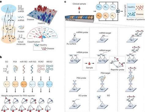 Dna Based Computation For Multiple Biomarkers Rneejad