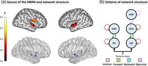 Structure Of The Network A Results Of The Source Reconstruction Download Scientific Diagram