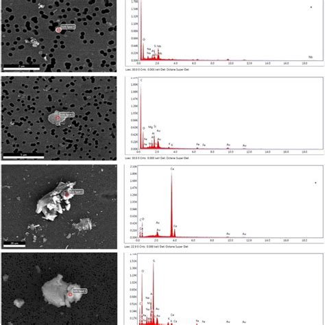 Microscopic Morphology Of Atmospheric Particulate Matter Download Scientific Diagram