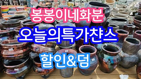 6월29일봉봉이네화분수제공방분다육화분명품화분할인덤 Youtube