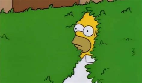The Simpsons Fans Bring Homers Best Meme To The Real World