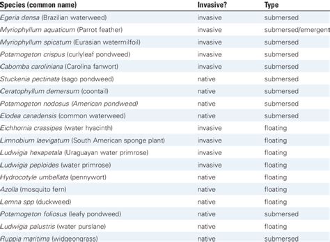 Common Floating And Submersed Aquatic Macrophytes Found In The Delta
