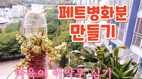 다육이 아악무 합식하기 페트병 화분 만들기 페트병재활용 Succulents 多肉植物 YouTube