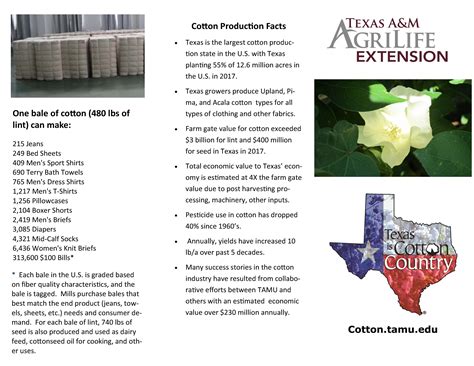 Cotton Production Facts Texas Row Crops Newsletter