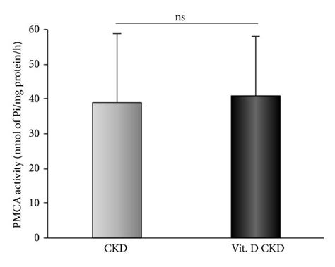 The Assessment Of PMCA Activity A The Representative Absorbance