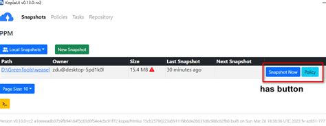 After Reinstalling The System Local Snapshots Were Lost And Only Remote Snapshots Can Be Viewed