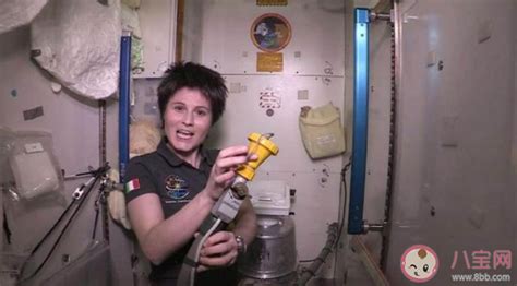 史上最贵的马桶即将上天是怎么回事 史上最贵的马桶是多少钱 八宝网