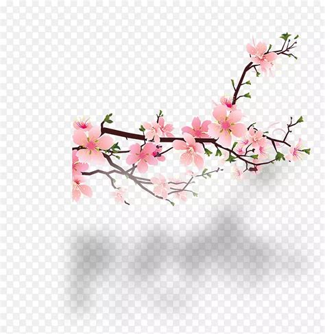 Png Png