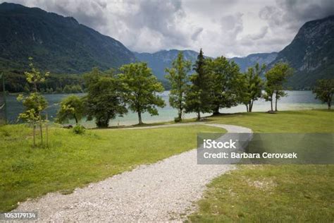 경치가 아름 다운 호수 Bohinj 하이킹 나무 에서 볼 여름 슬로베니아 0명에 대한 스톡 사진 및 기타 이미지 0명 경관