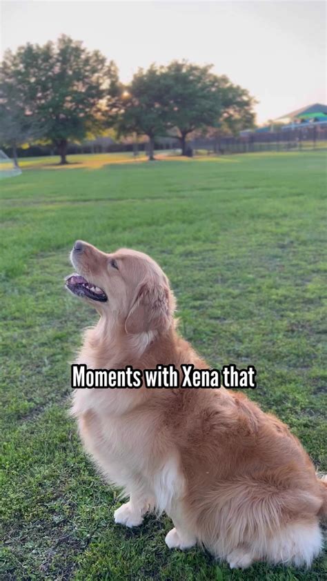 Very Important Moments 😃 Golden Girl Xena Golden Girl Xena